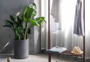 SBF Bostad - Hyreslägenheter med hemkänsla